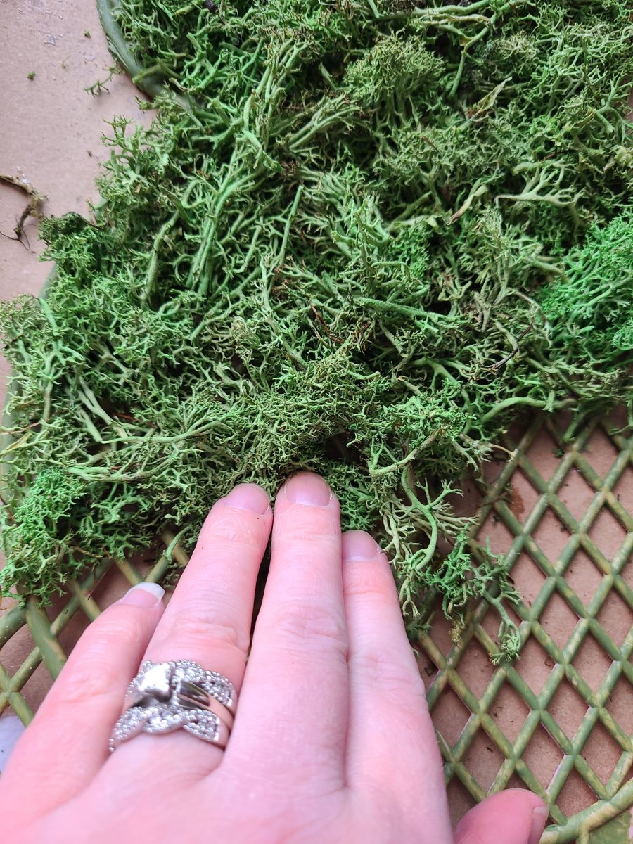 Moss Covered Bunny Tutorial - Life as a LEO Wife