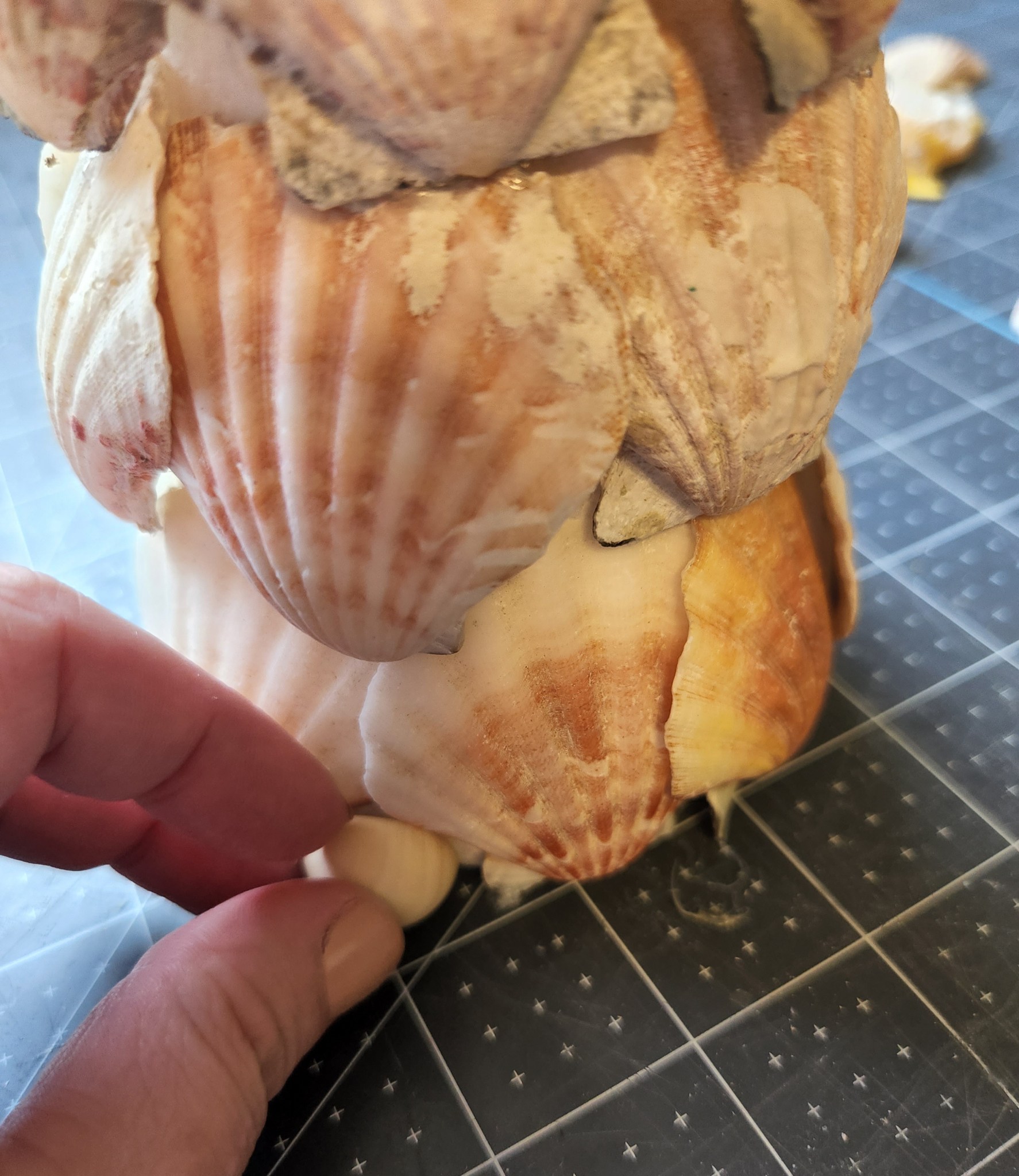 Christmas in July: Coastal Seashell Trees - Life as a LEO Wife