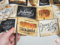 DIY Fall Coasters: High-End Dollar Tree Pumpkin Coaster Set